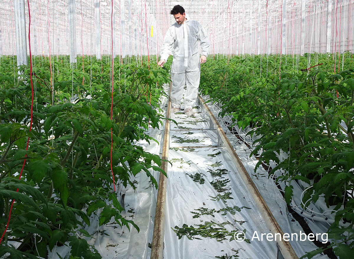 Die Angst vor dem Jordan-Virus - eppenberger-media gmbh