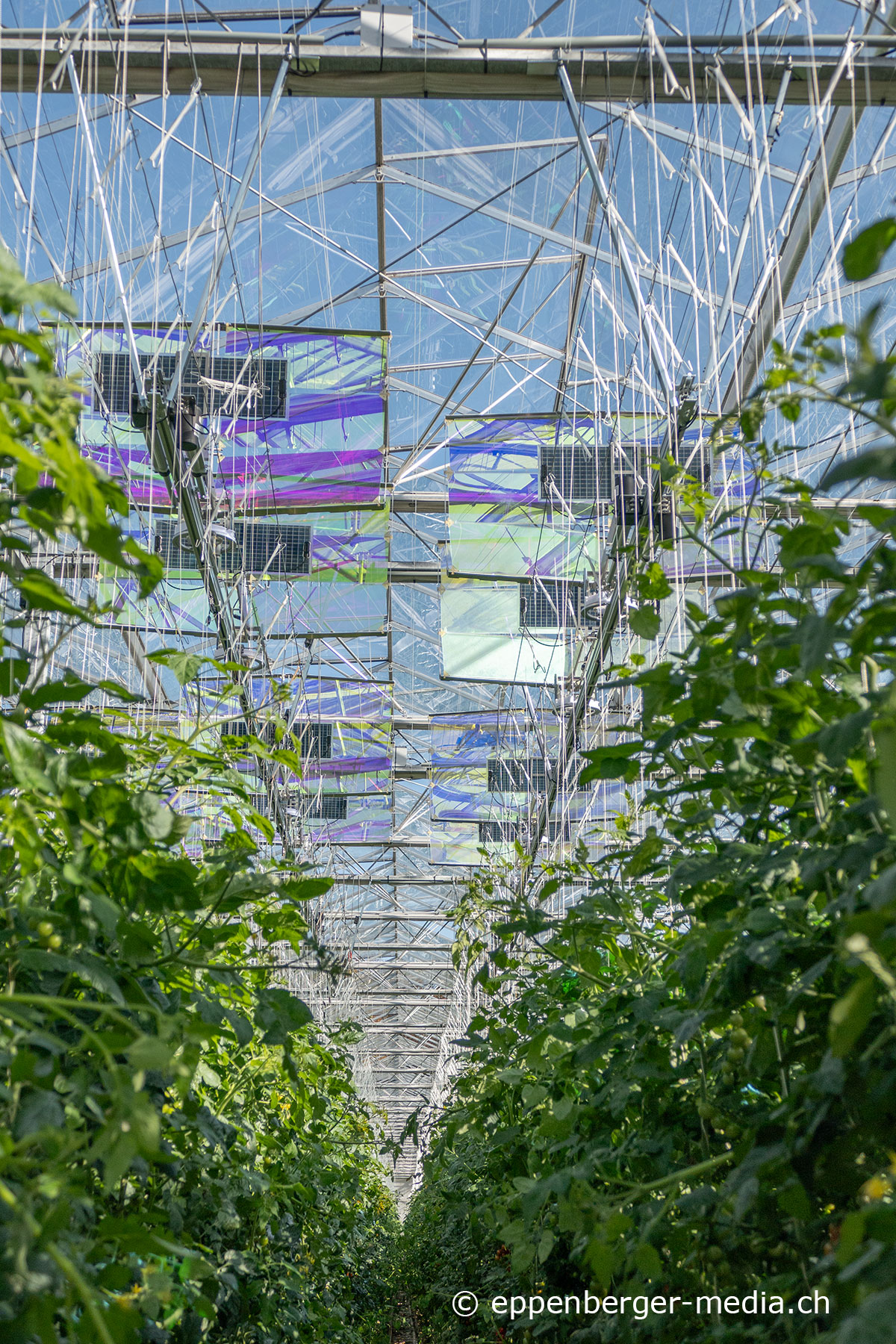 Lichtoptimiertes Solarmodul für Indoor - eppenberger-media gmbh