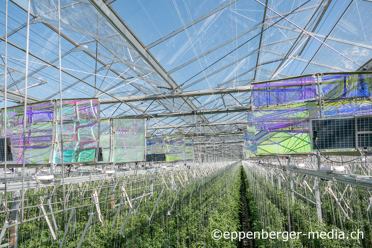 Lichtoptimiertes Solarmodul für Indoor - eppenberger-media gmbh