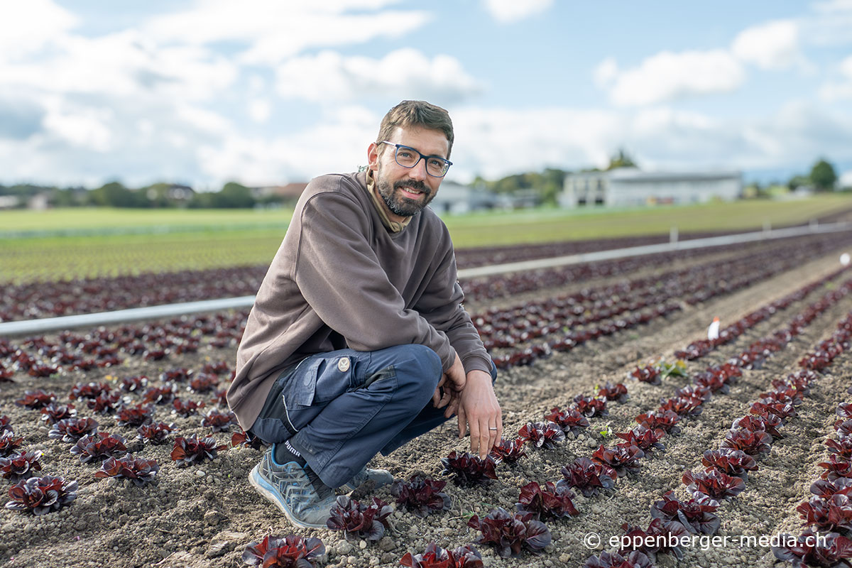 Praxisnahe Forschung für Gemüsebranche - eppenberger-media gmbh